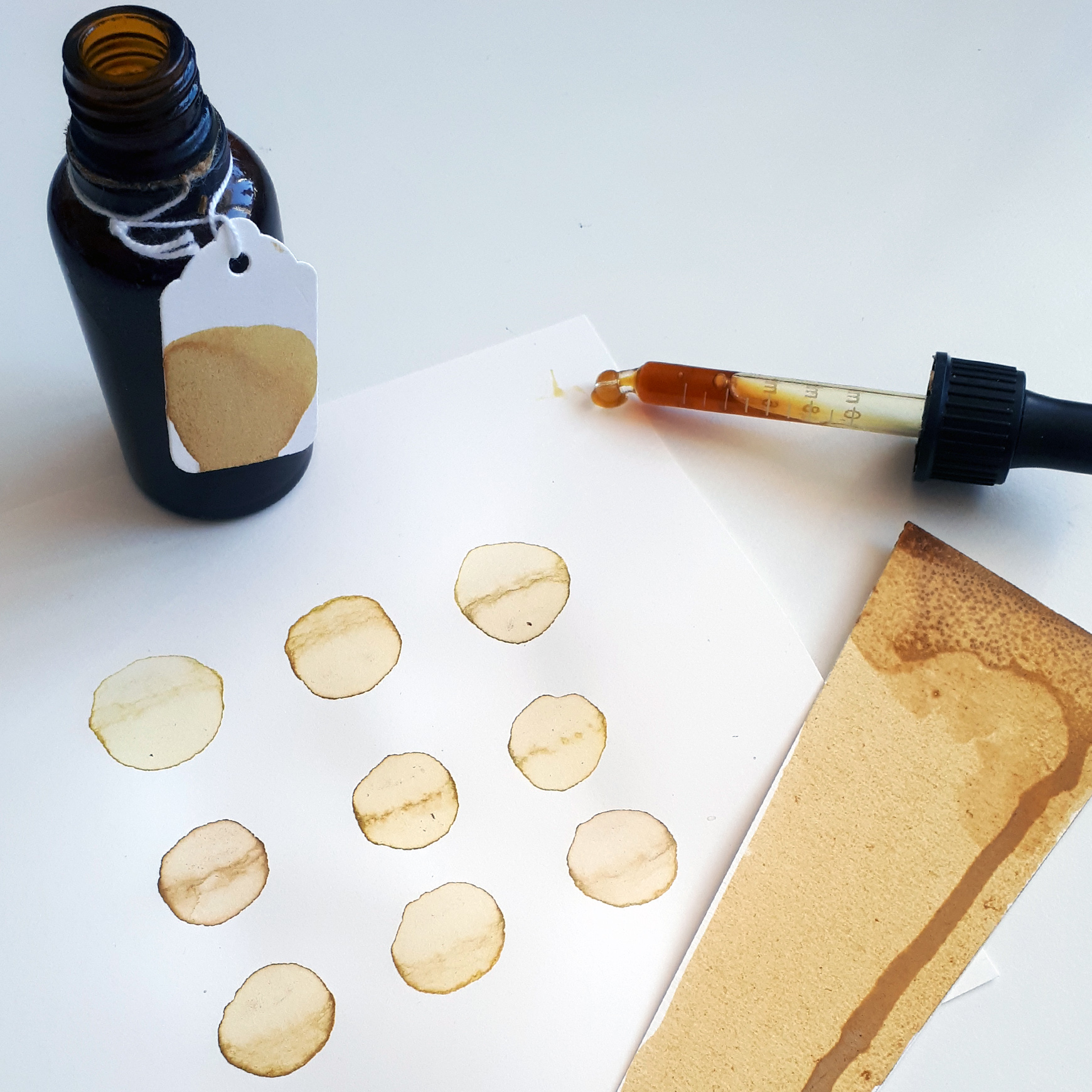 Sustainable Art Practice – Botanical Ink making. – Bus and Bird Arts